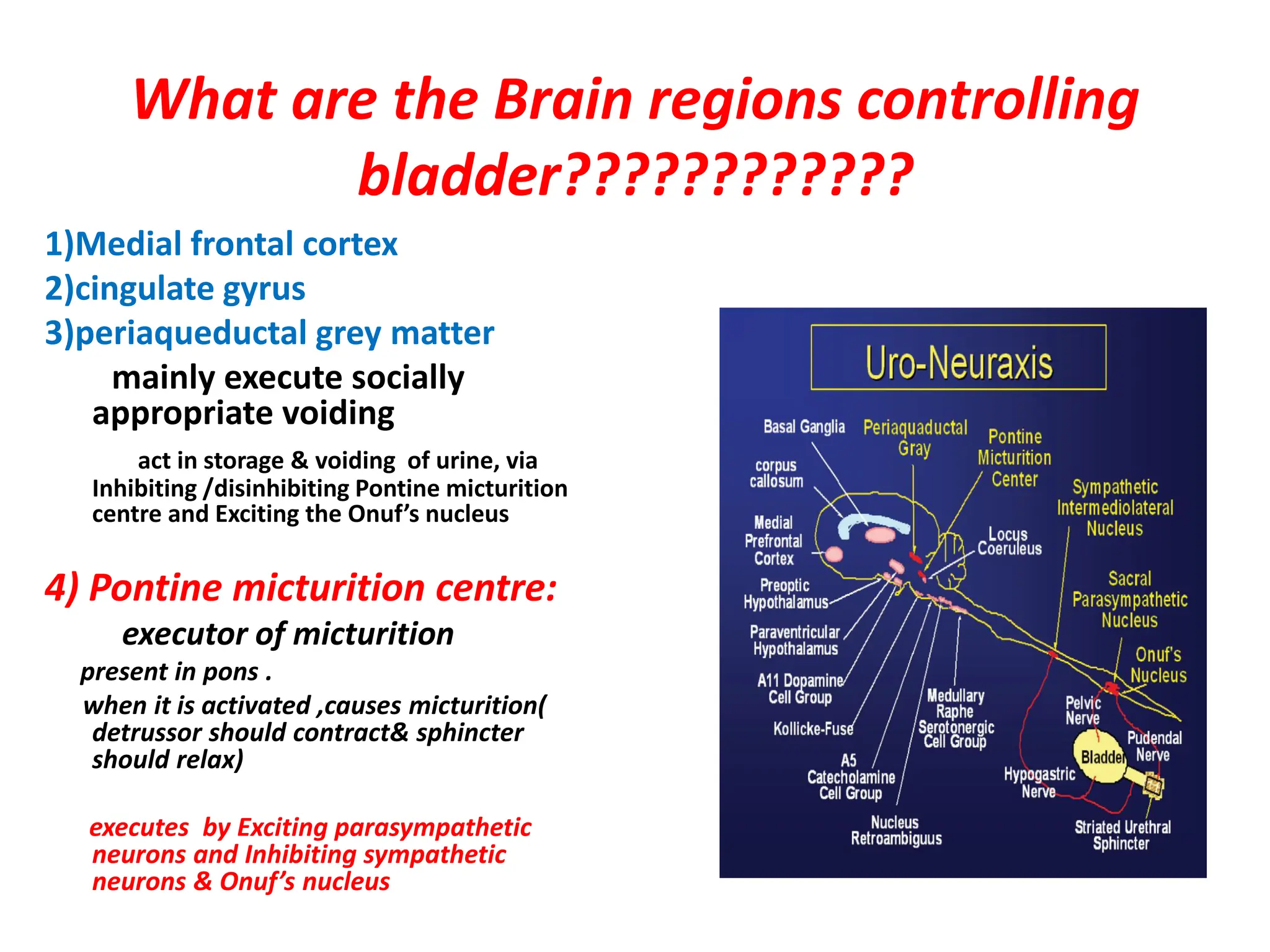 06.05.21-neurogenic-bladder-and-Copy.pdf