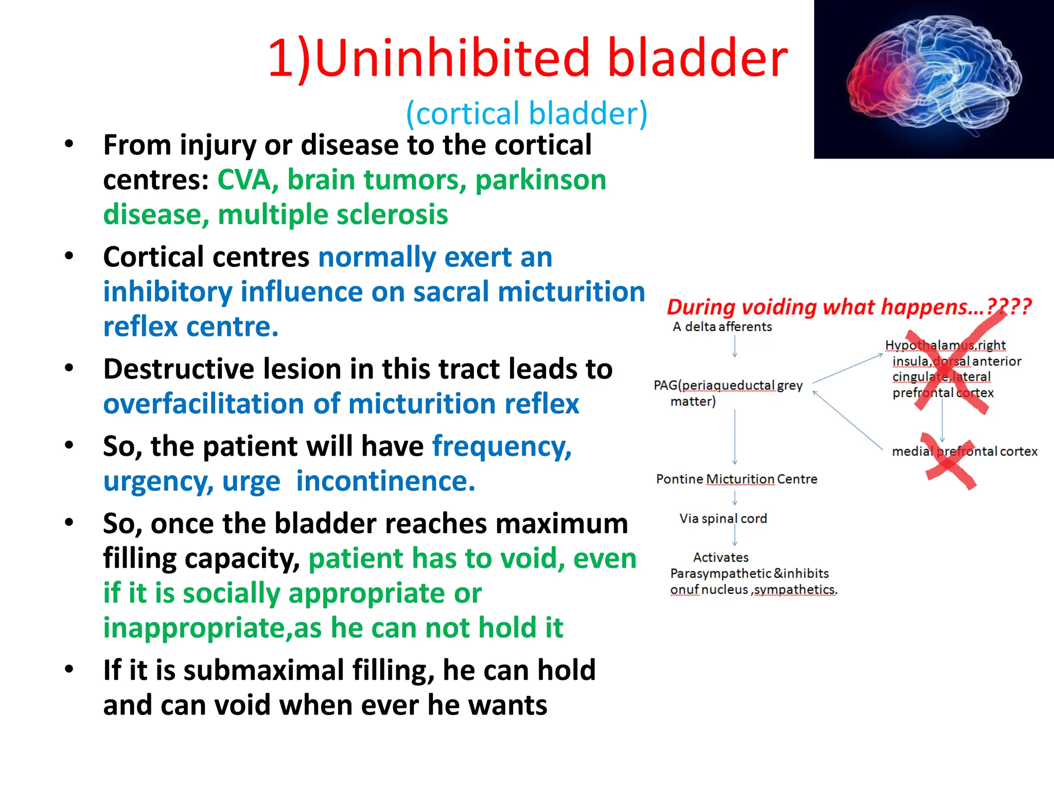 06.05.21-neurogenic-bladder-and-Copy.pdf