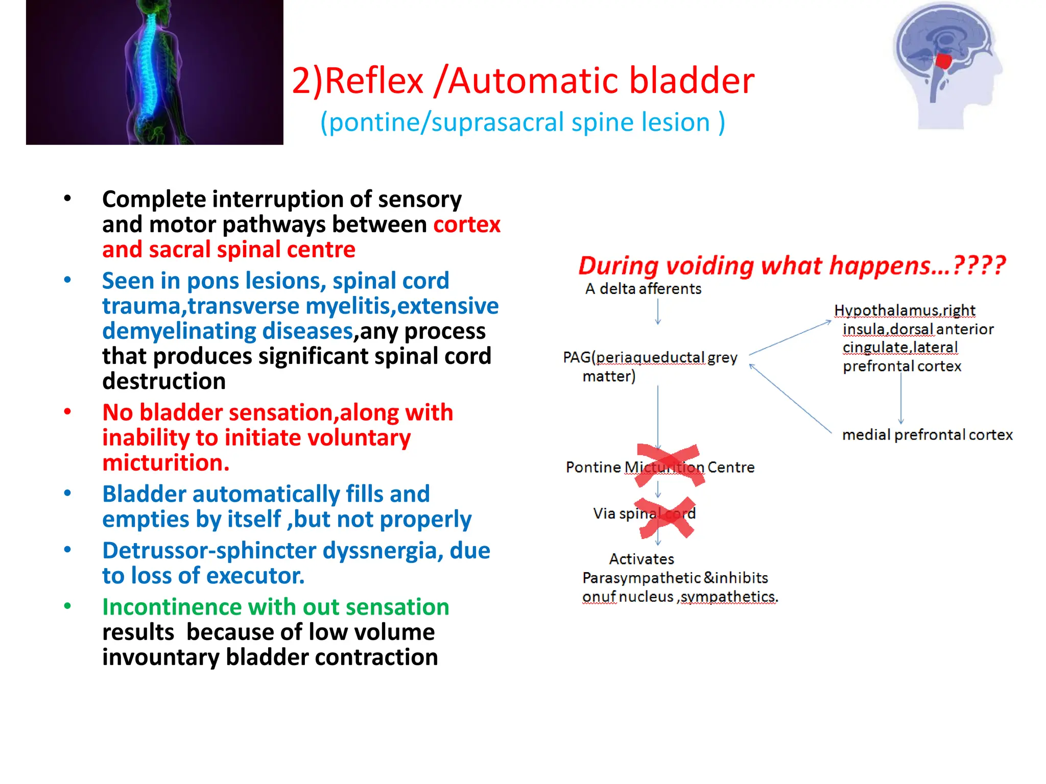 06.05.21-neurogenic-bladder-and-Copy.pdf