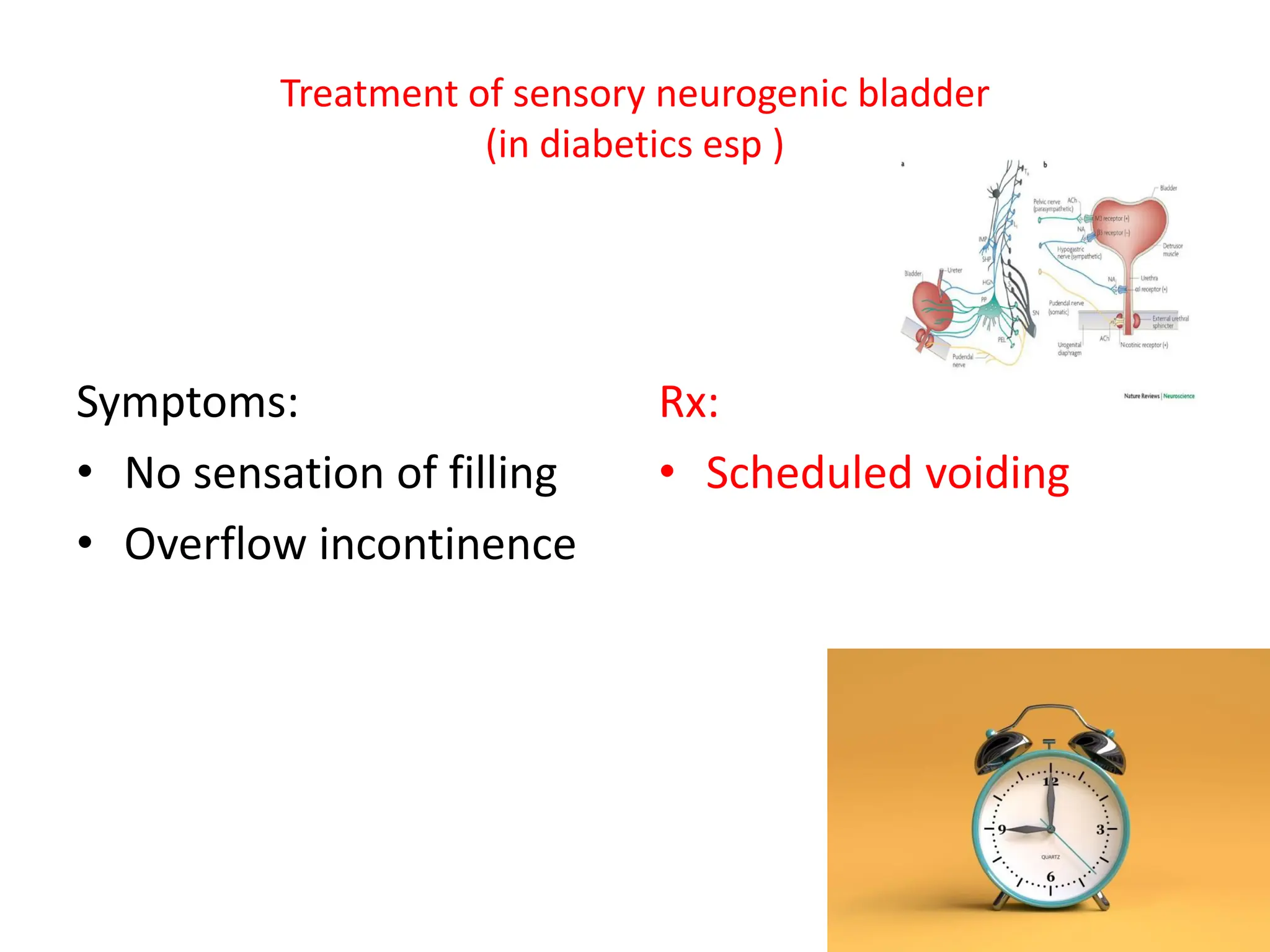 06.05.21-neurogenic-bladder-and-Copy.pdf