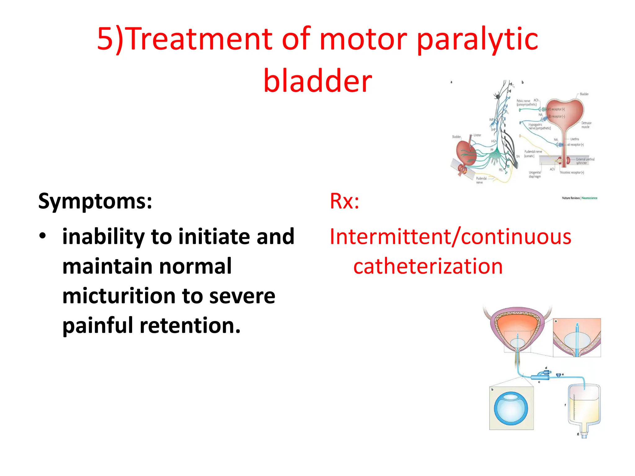 06.05.21-neurogenic-bladder-and-Copy.pdf