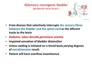 06.05.21-neurogenic-bladder-and-Copy.pdf