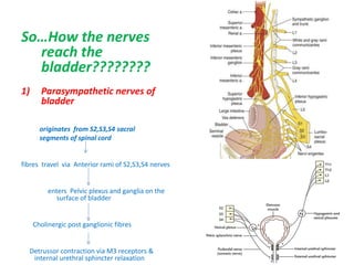 06.05.21-neurogenic-bladder-and-Copy.pdf