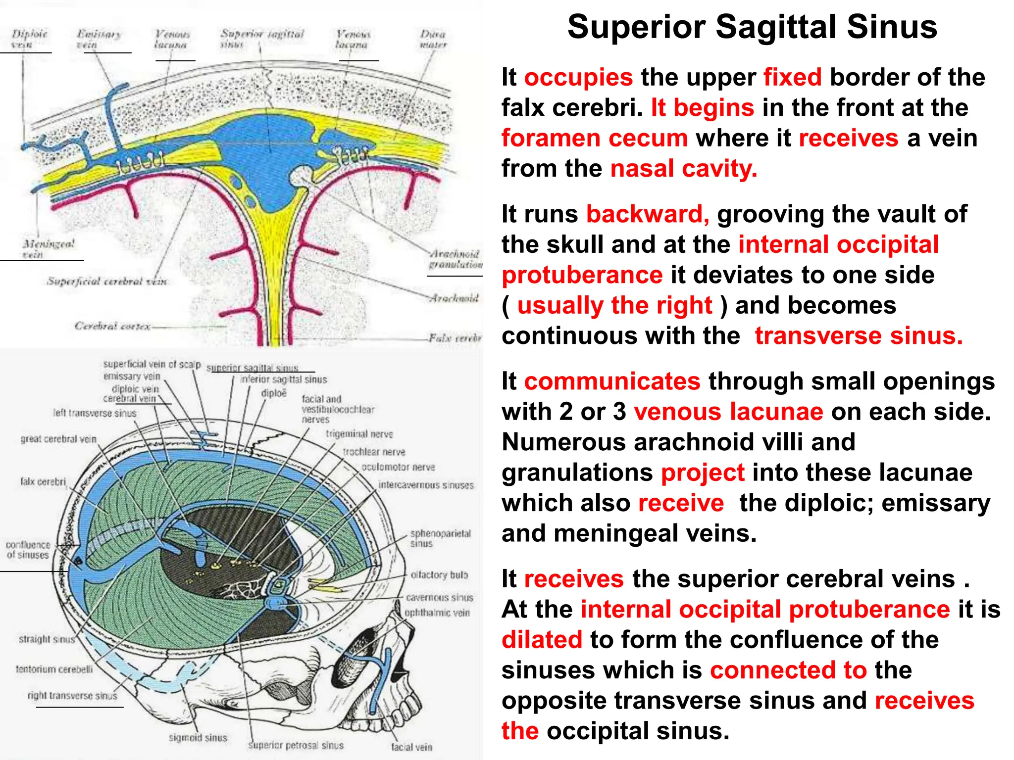 06. venous sinuses.ppt treatment an repair | PPT