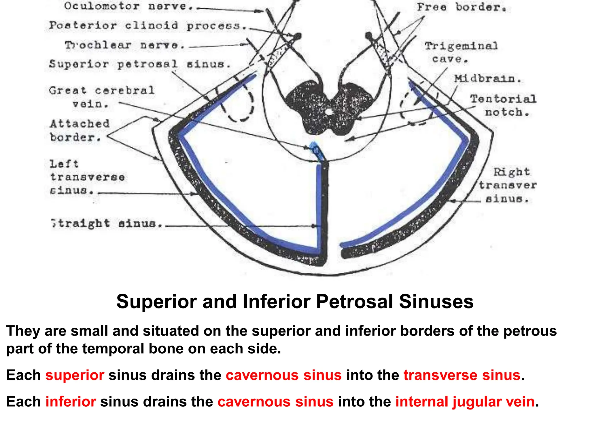 06. venous sinuses.ppt treatment an repair | PPT