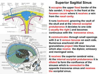 06. venous sinuses.ppt treatment an repair | PPT
