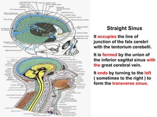 06. venous sinuses.ppt treatment an repair | PPT