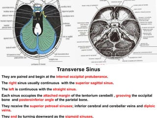06. venous sinuses.ppt treatment an repair | PPT