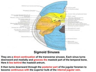 06. venous sinuses.ppt treatment an repair | PPT