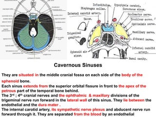 06. venous sinuses.ppt treatment an repair | PPT