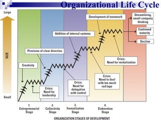 06. Organization Size, Life Cycle, and Decline (2024).pptx