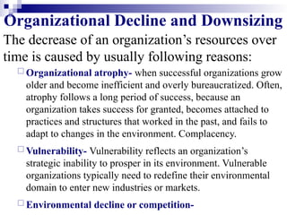 06. Organization Size, Life Cycle, and Decline (2024).pptx