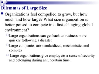 06. Organization Size, Life Cycle, and Decline (2024).pptx