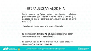 manejo dolor tipos , algoritmos en aanestesiologia | PDF