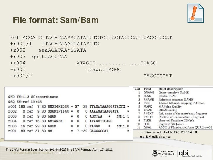 Variant (SNPs/Indels) calling in DNA sequences, Part 1