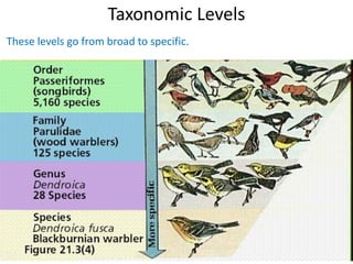 06 6 kingdoms and 3 domains | PPTX