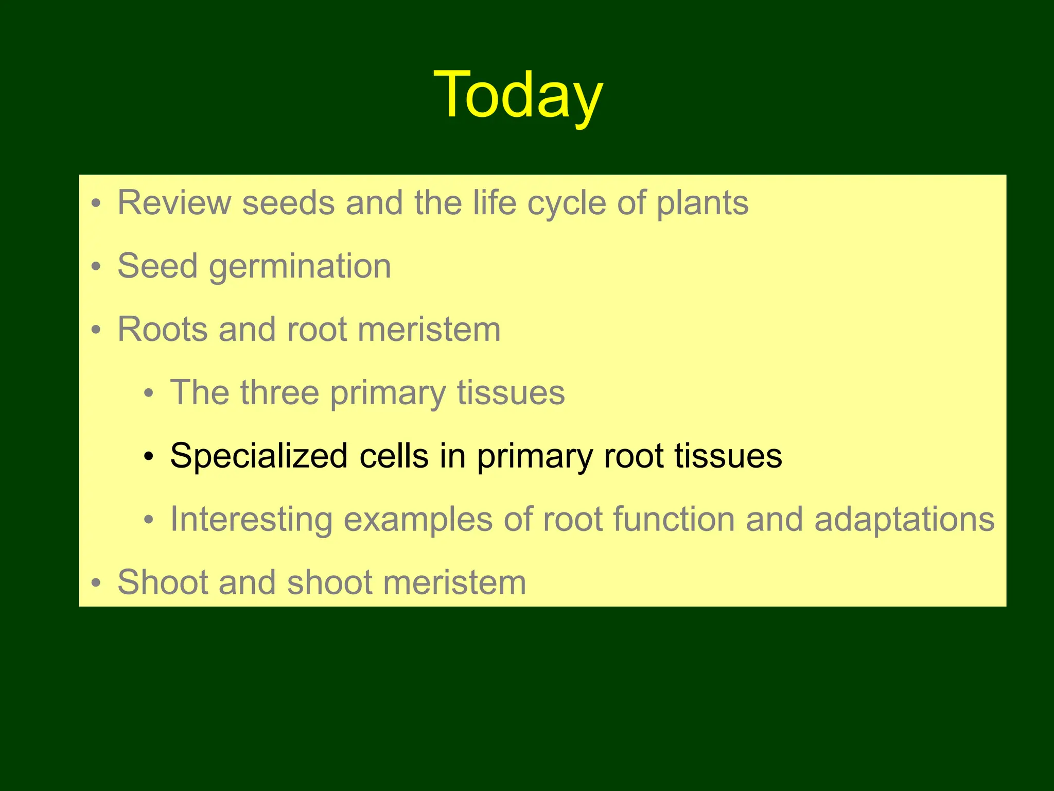 Plant Anatomy-Morphology study.......ppt