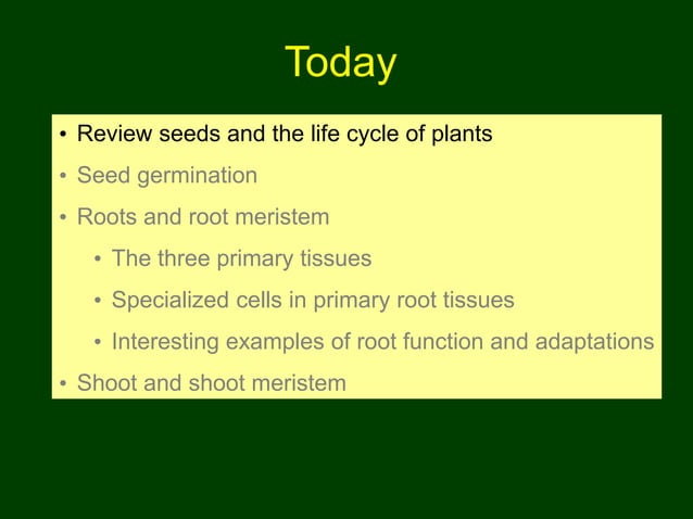 Plant Anatomy-Morphology study.......ppt