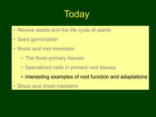Plant Anatomy-Morphology study.......ppt