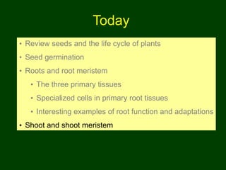 Plant Anatomy-Morphology study.......ppt