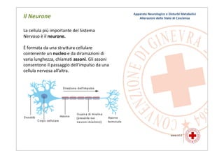 TSSA 06 apparato neurologico e disturbi metabolici | PDF