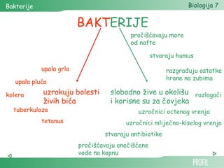 Bakterije | PPT