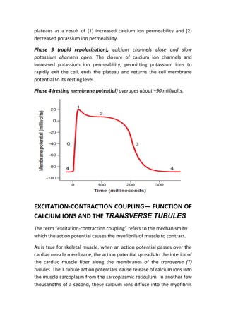 06-cardiac_muscle (2).pdf | Heart and Cardiovascular Diseases ...