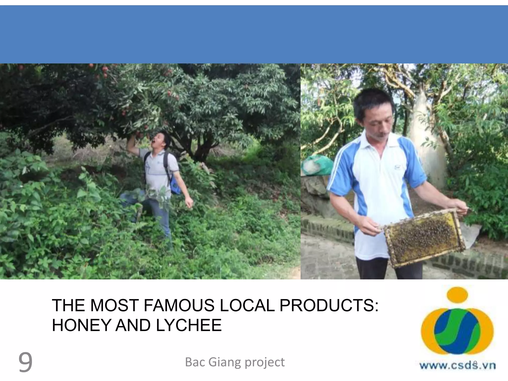 CSDS Bac giang project by Mr Huan | PPT