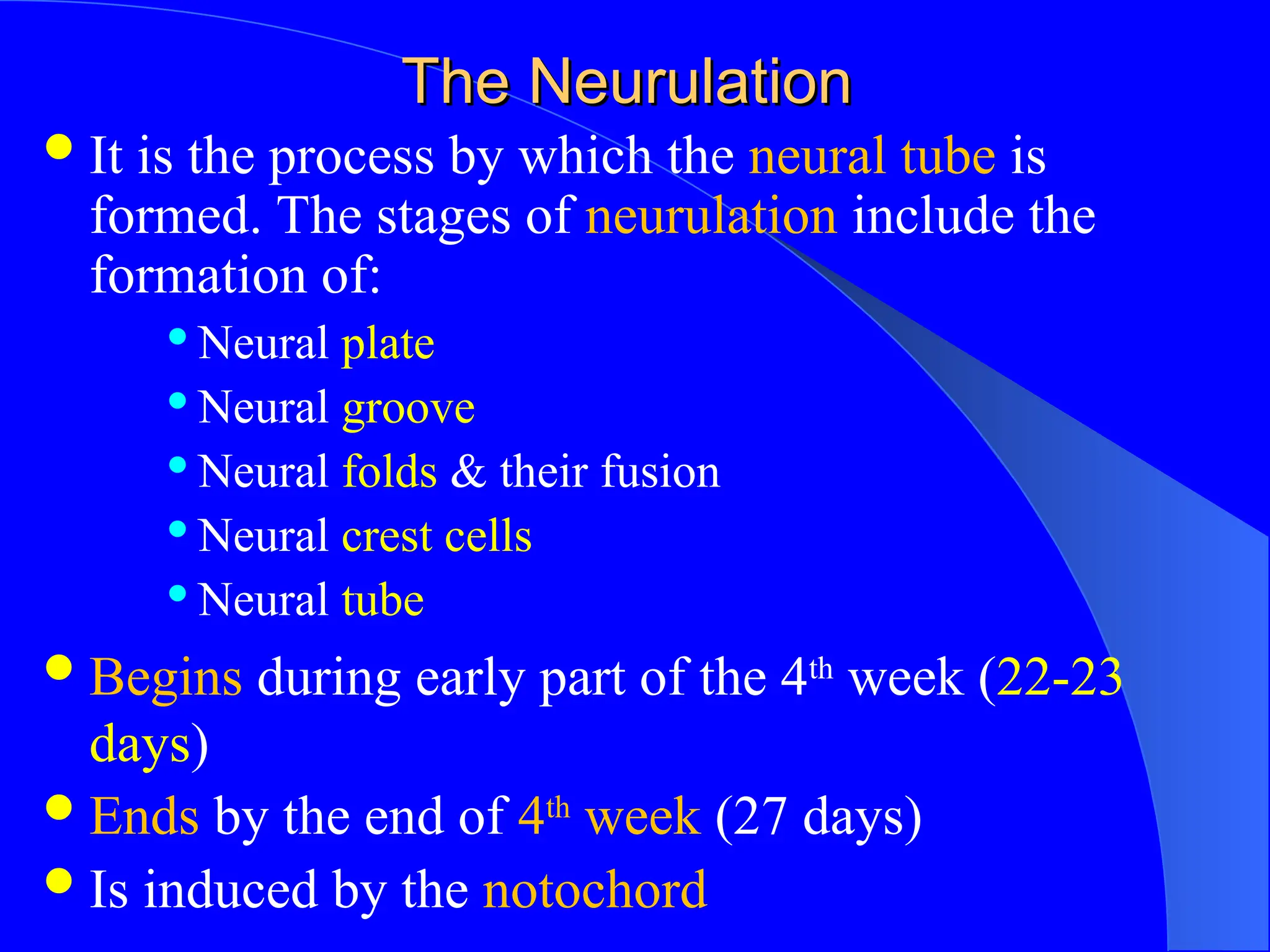 06 - Ectodermal Derivtives.ppt for medical | PPT