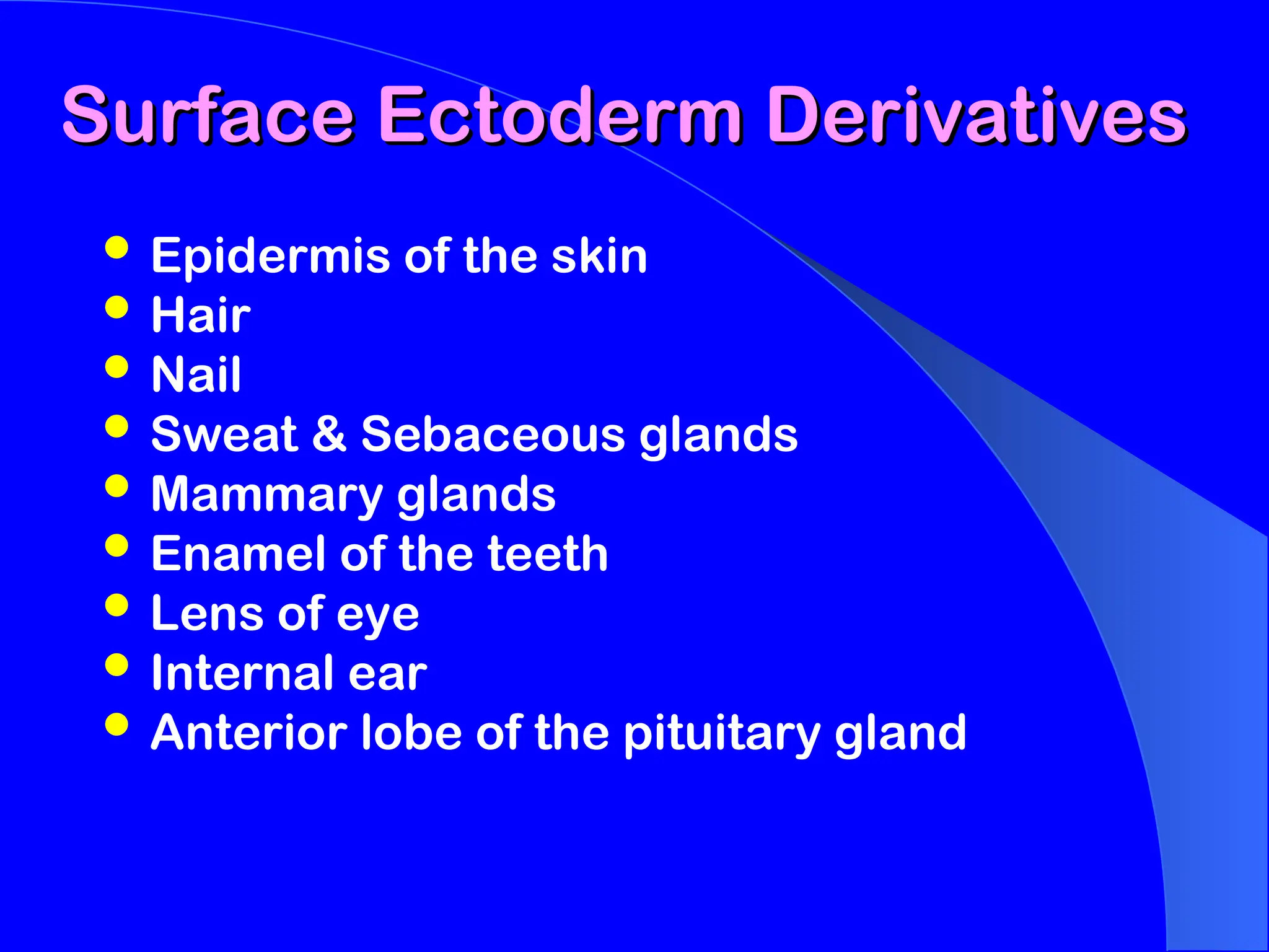 06 - Ectodermal Derivtives.ppt for medical | PPT