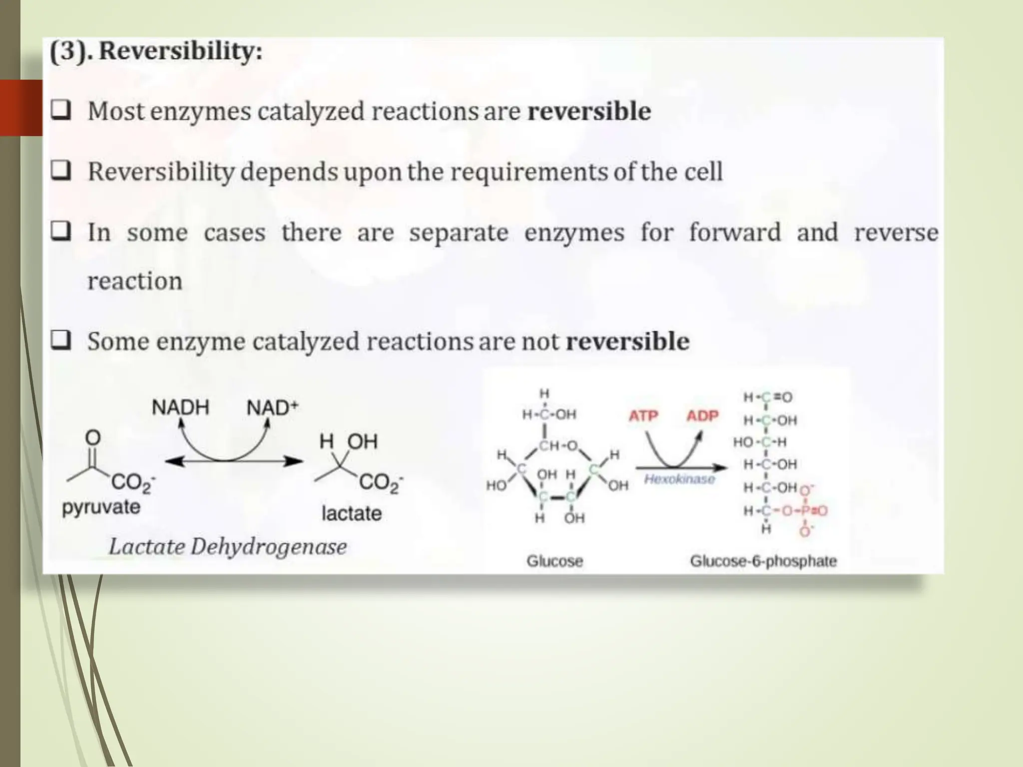 06 - ENZYMES.pptx