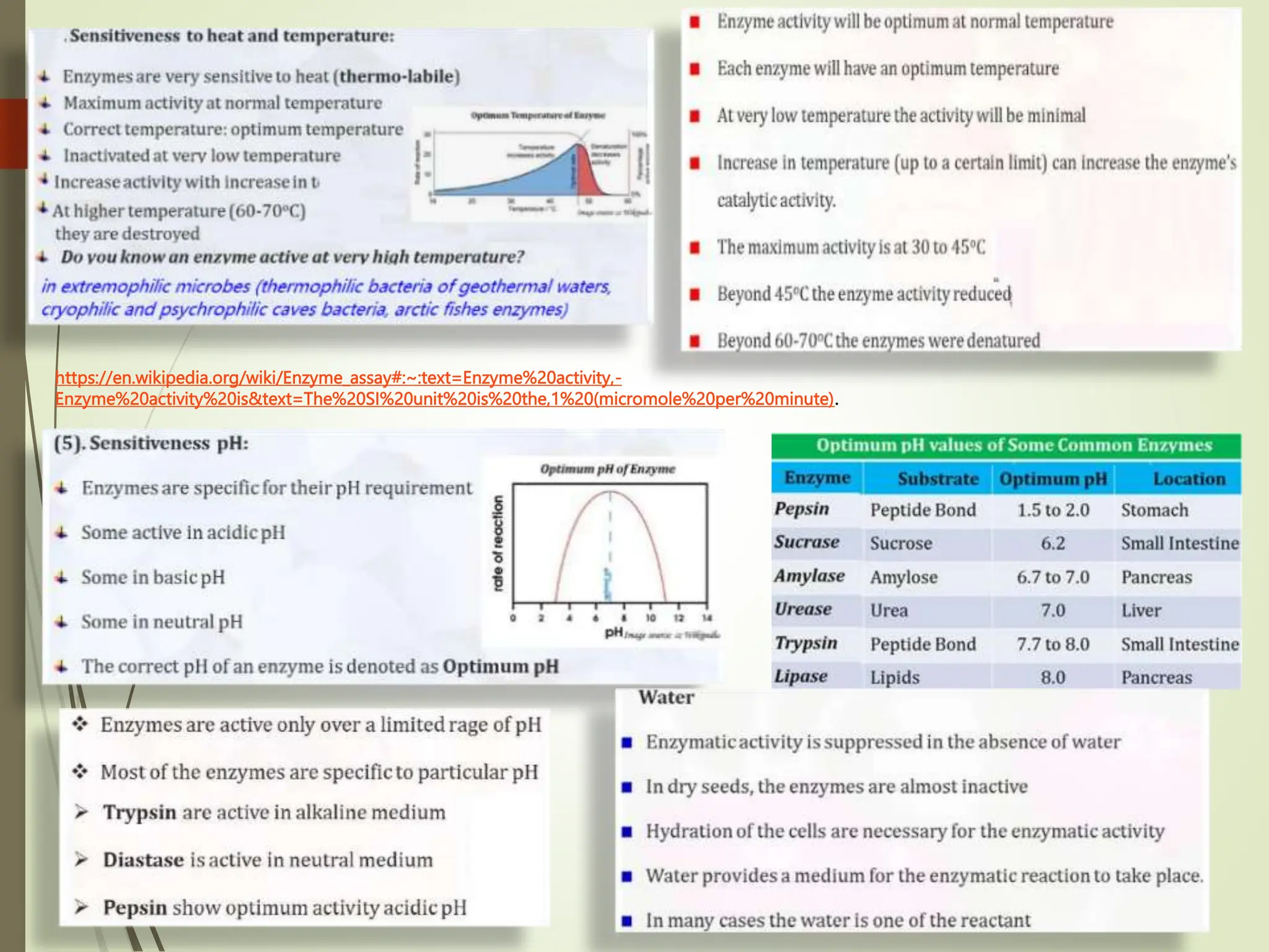 06 - ENZYMES.pptx