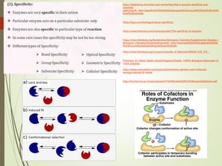 06 - ENZYMES.pptx