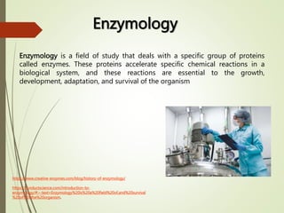 06 - ENZYMES.pptx