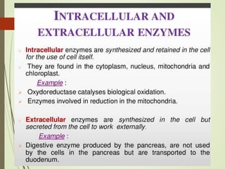 06 - ENZYMES.pptx
