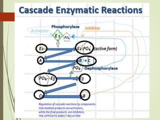 06 - ENZYMES.pptx