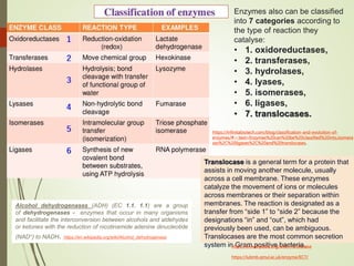 06 - ENZYMES.pptx