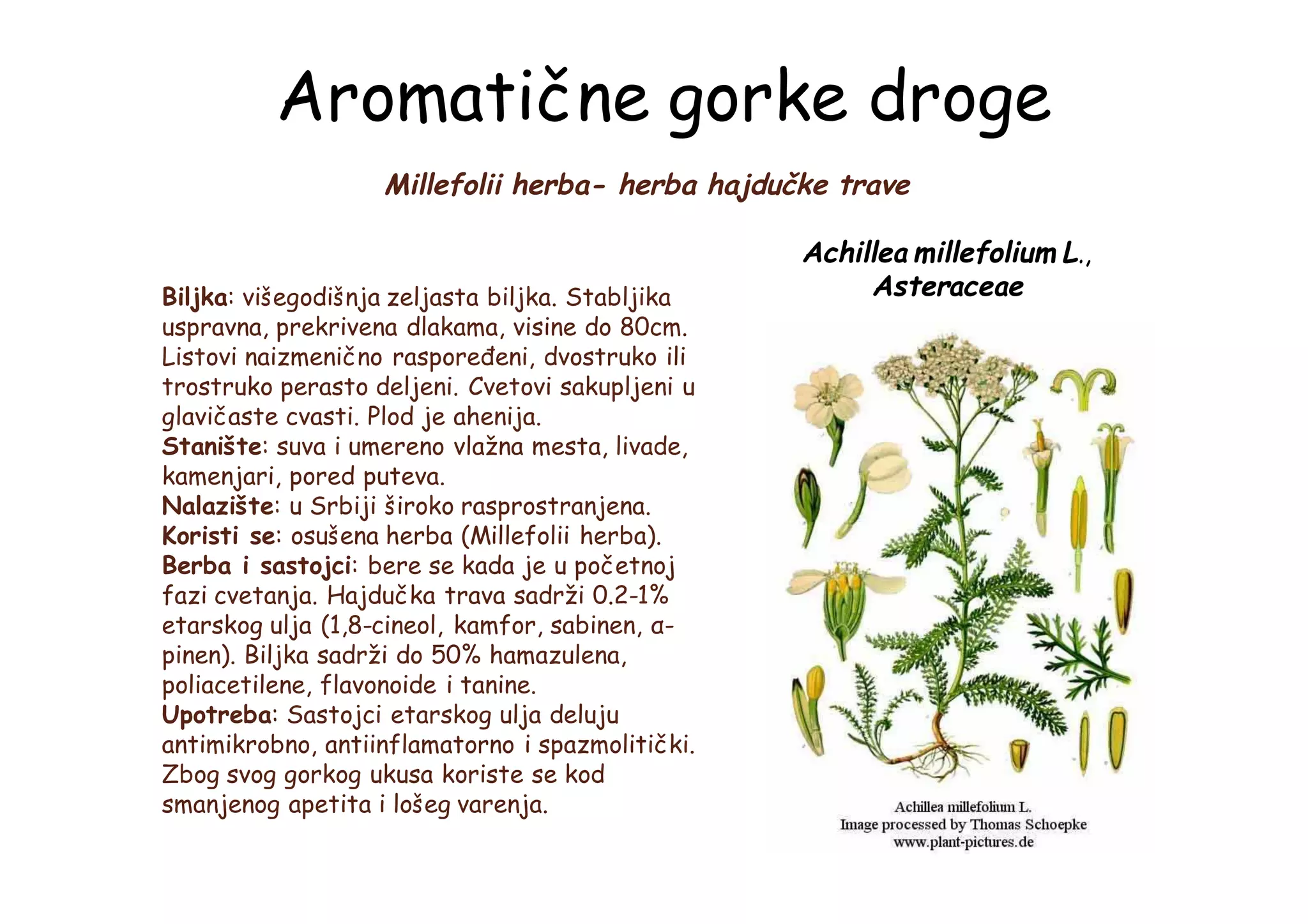 06 etarska-ulja | PDF