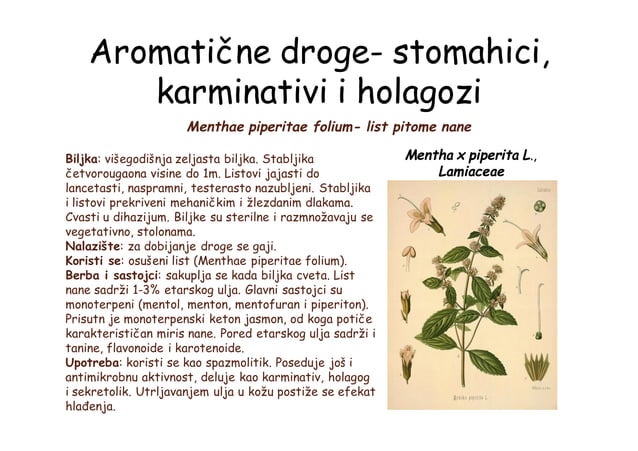 06 etarska-ulja | PPT