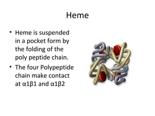 Hemoglobin structure | PPT