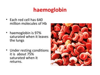 Hemoglobin structure | PPT