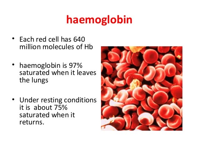 Hemoglobin structure