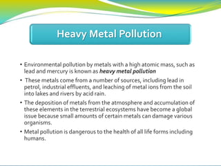 Heavy metals and its effects on plants and environment | PPTX
