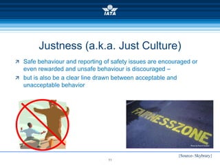 IATA safety culture from the top down | PDF