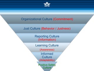 IATA safety culture from the top down | PDF