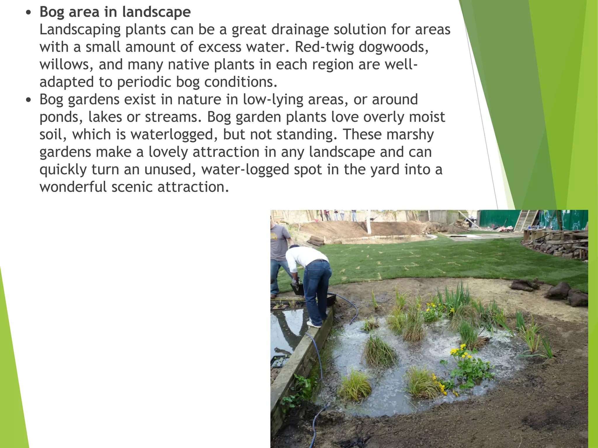 06-landscape-drainage-ppt.ppt_20230921_090950_0000.pdf