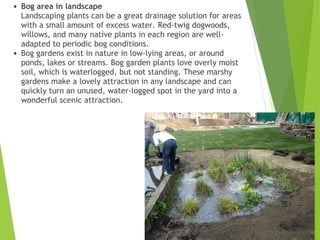 06-landscape-drainage-ppt.ppt_20230921_090950_0000.pdf