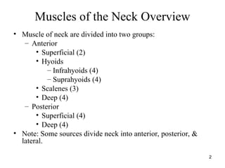 06-Muscles-of-Anterior-Neck power point presentation | PPT