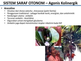 06 nutrasetika - sistem saraf | PDF