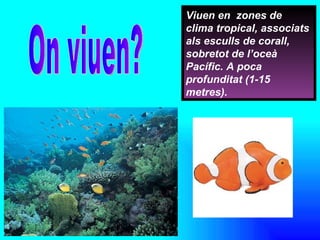 06 peix pallaso | PPT